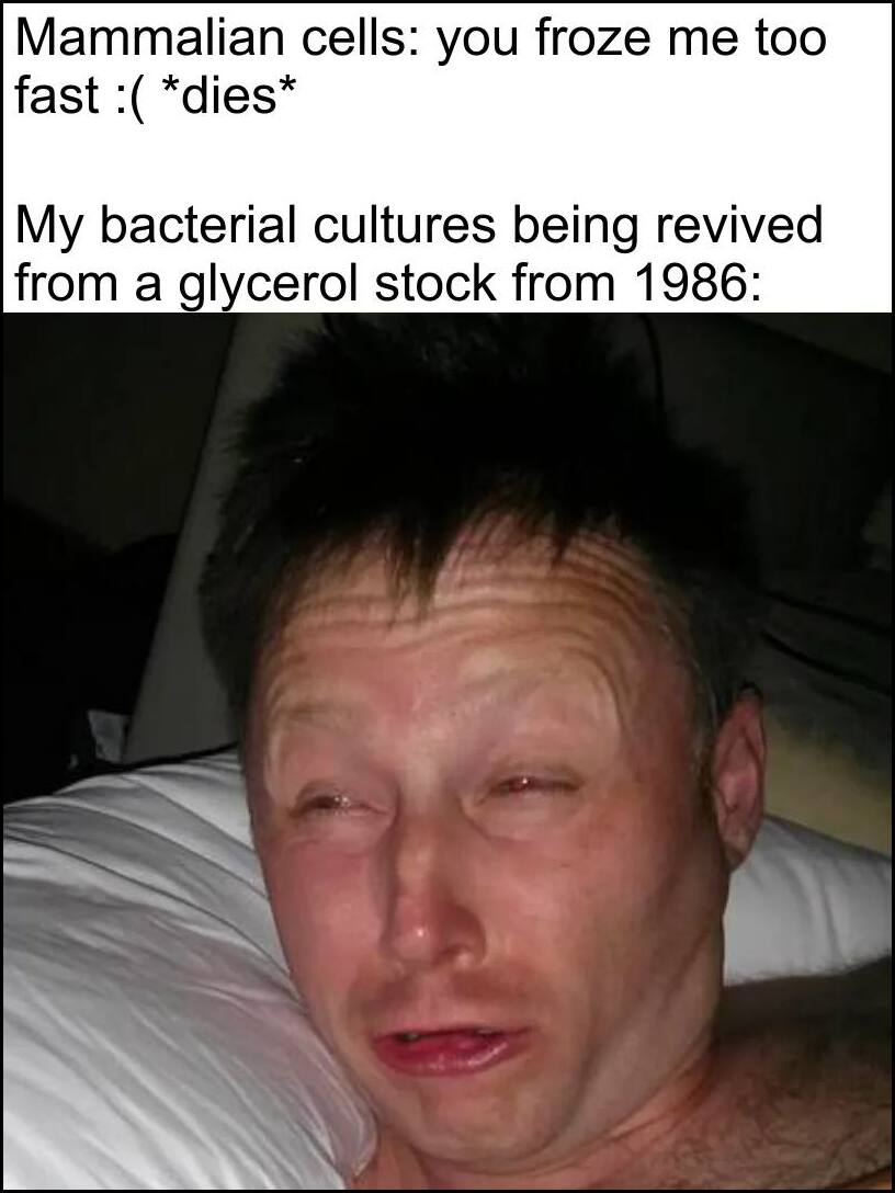 My biotech journey: pt I – wet lab & genetic engineering - Accelerating ...